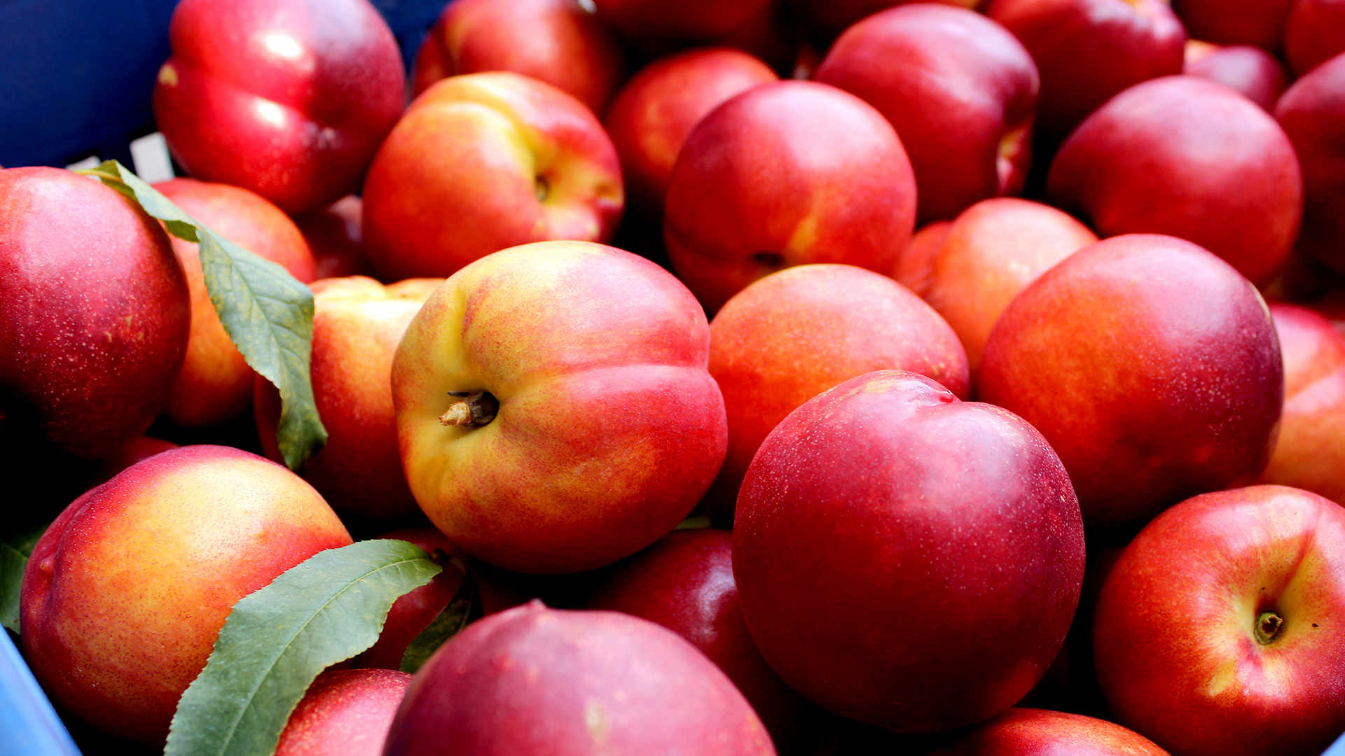 MYRON FRUITS - 100% PURE GREEK FRUITS